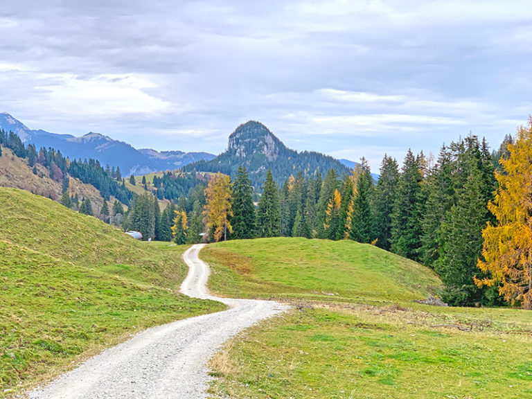 Wandergebiet Almenwelt Lofer – Familienwandern mit Saalachtal Card